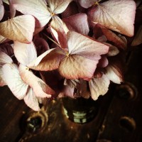 HAYSTACK HOUSE – Our little space on the interweb